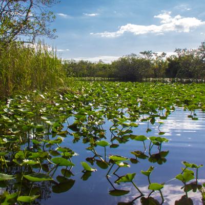 Remote Monitoring - Environmental Research | HOBO Weather Stations